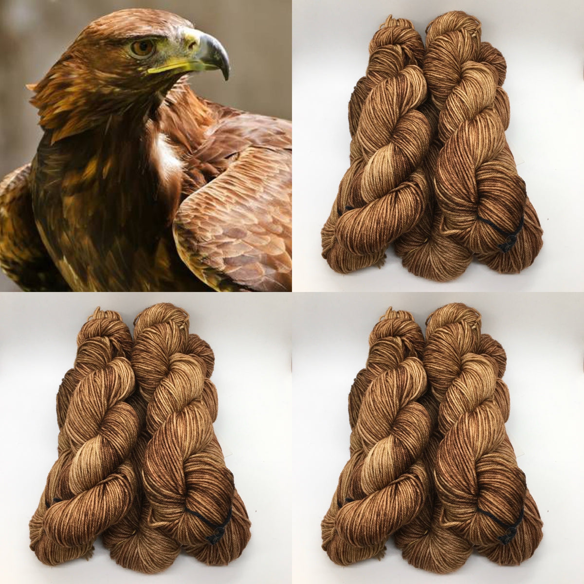 Golden Eagle – Robin's Promise Yarn Co.